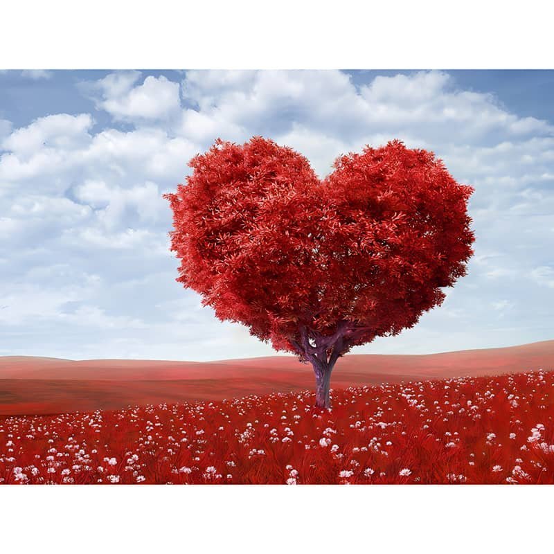 Liebe - Malen nach Zahlen für Erwachsene kaufen